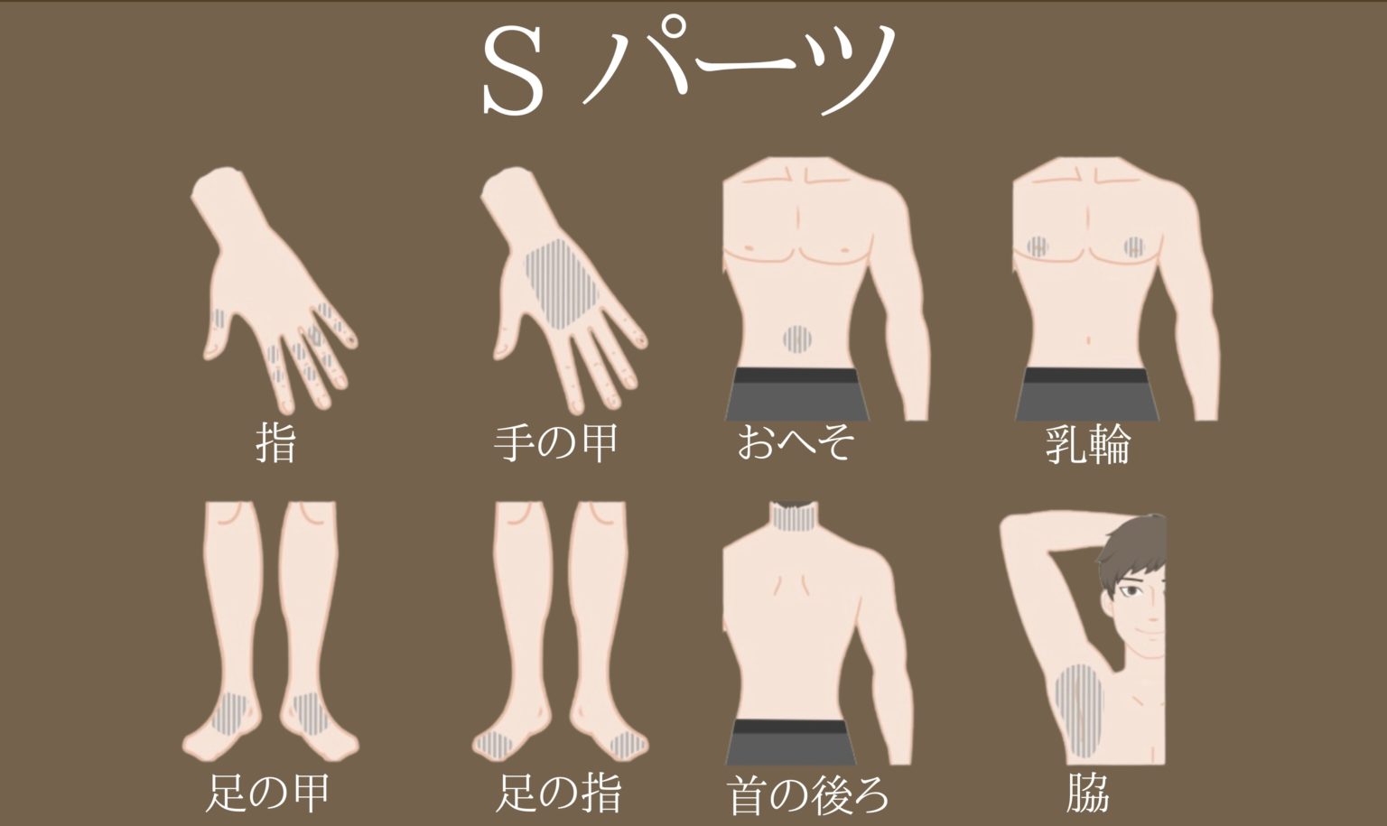 メニュー - Mr.Alice公式サイト