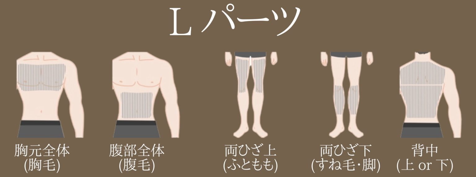 メニュー - Mr.Alice公式サイト